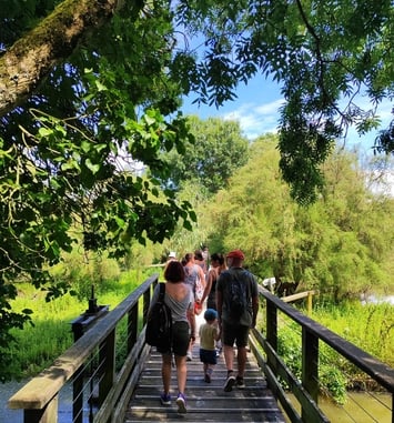 Visite au Marais aux Oiseaux à Dolus-d'Oléron — 19 et 20 sept. 26